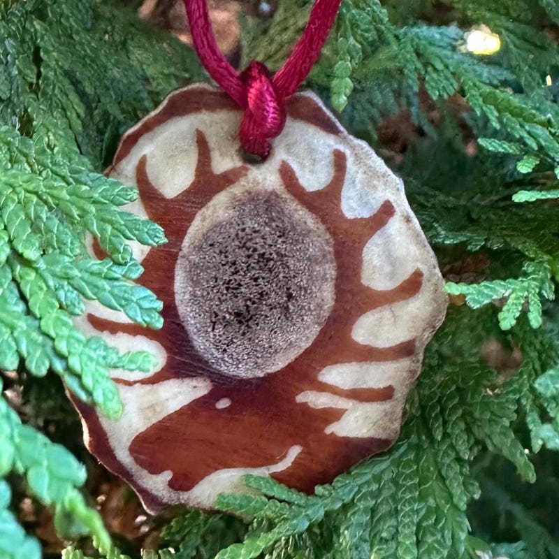 Grandes cuernos de reno - Etsy México