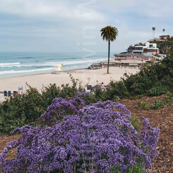 Encinitas - Etsy