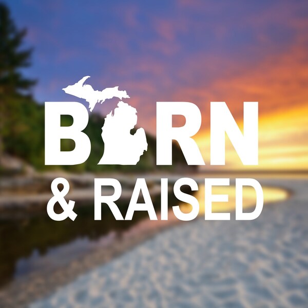 Born and Raised Michigan Svg - Etsy