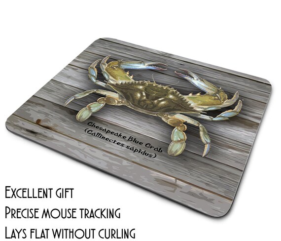 Blue Crab Scientific Name Of