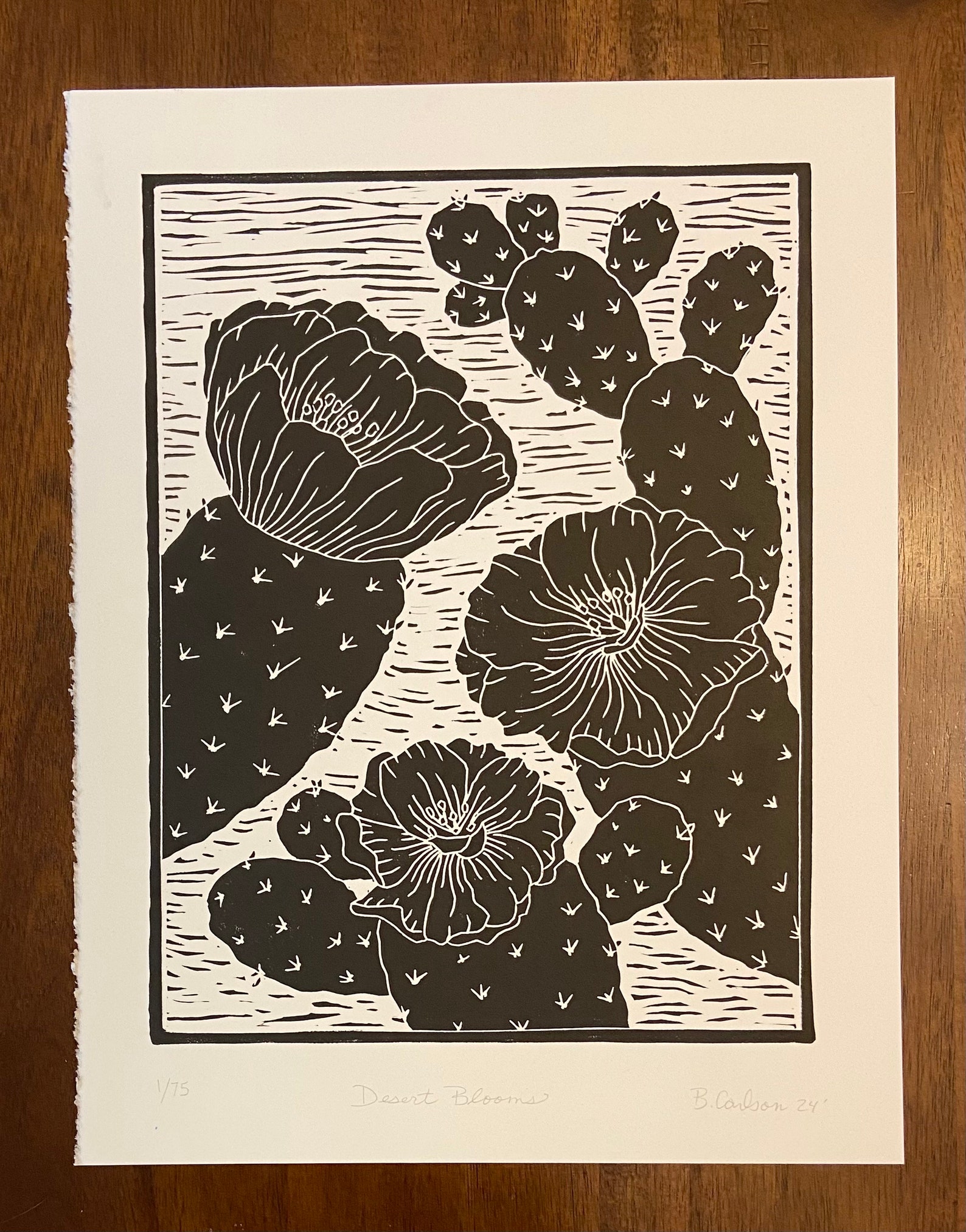 Prickly Pear, Cactus, Desert Art, Desert Cactus, California Cactus ...