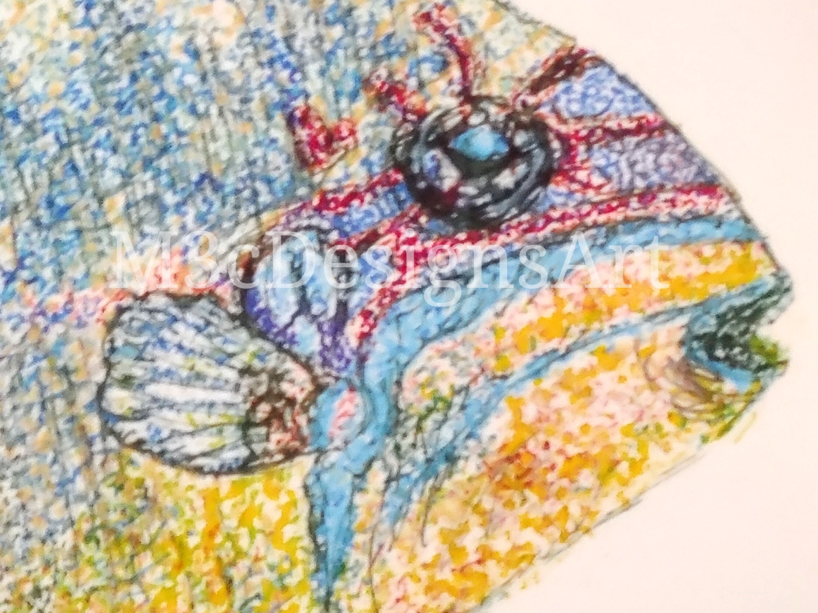 Pointillism Series-queen Trigger Fish, Unframed Print With Mat - Etsy