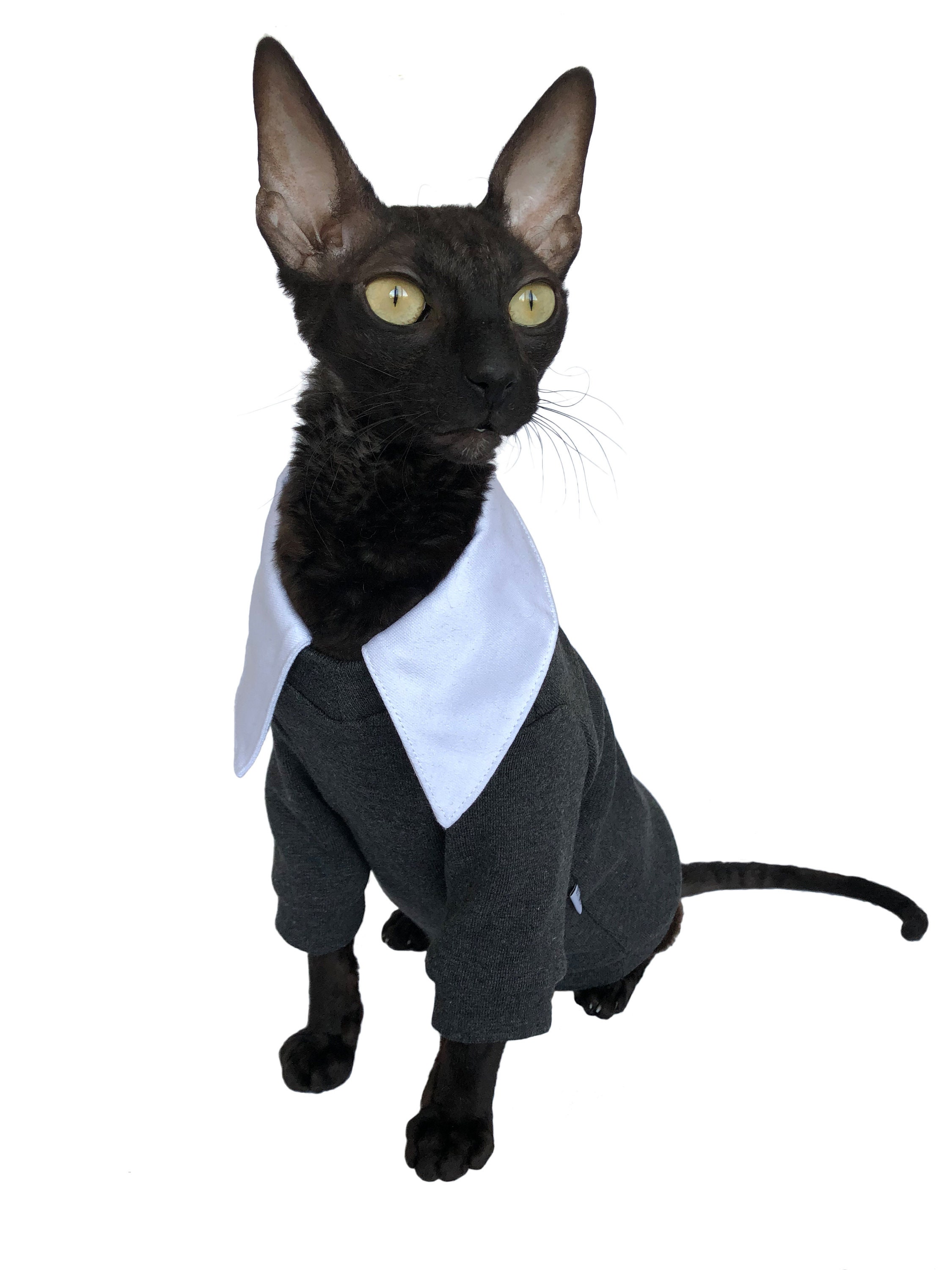Kotomoda CAT WEAR Pullover White Collar - Etsy