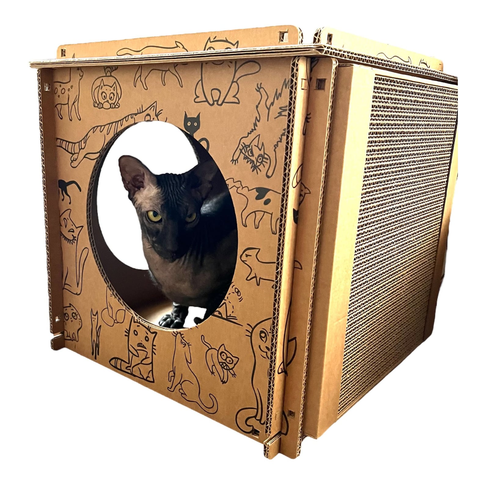 Premium Cat House is Made From Recyclable Cardboard Cubes With a ...