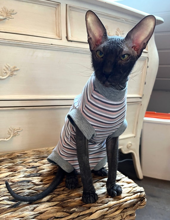Cats Wearing Overalls