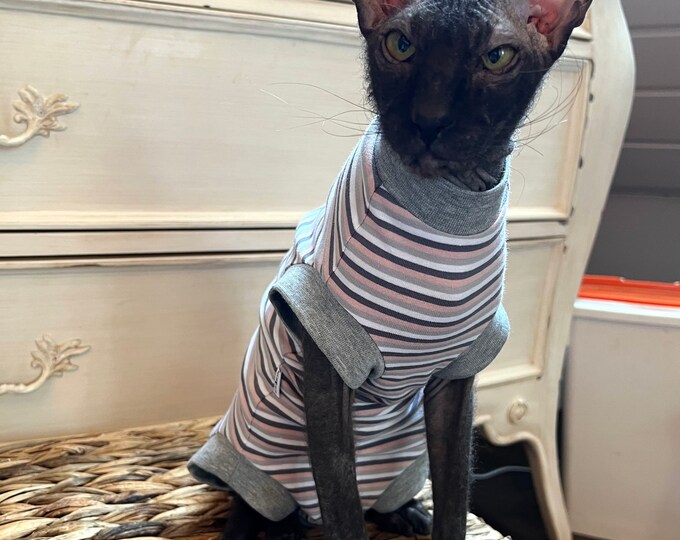 Kotomoda Shower Caps for Sphynx Cats and Small Pets 20pcs in a - Etsy