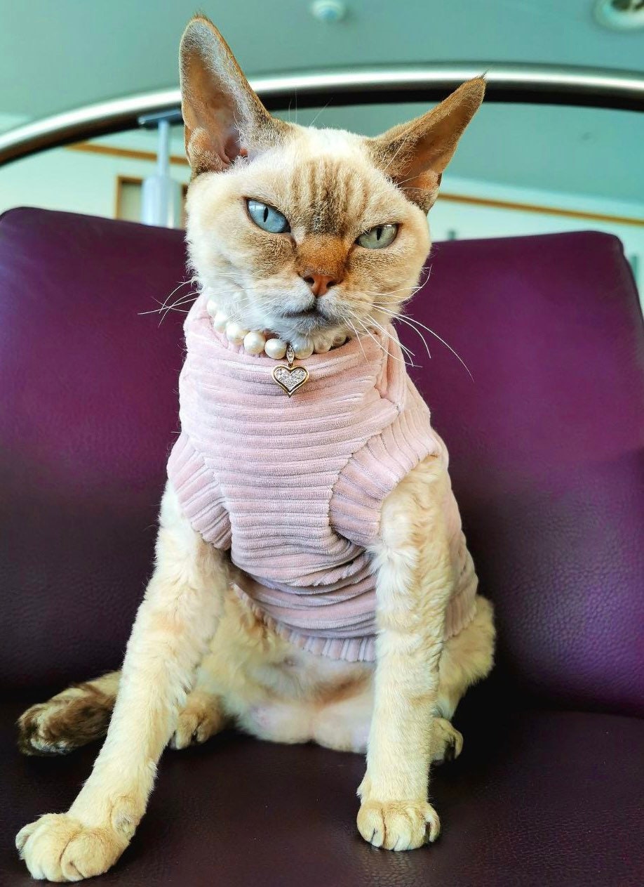 Kotomoda CAT WEAR T-shirt Corduroy - Etsy