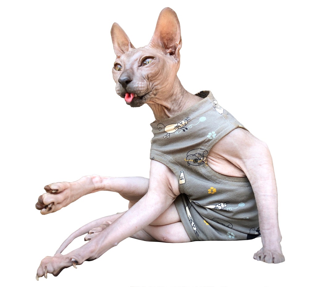 Kotomoda CAT WEAR T-shirt Funny Cats - Etsy