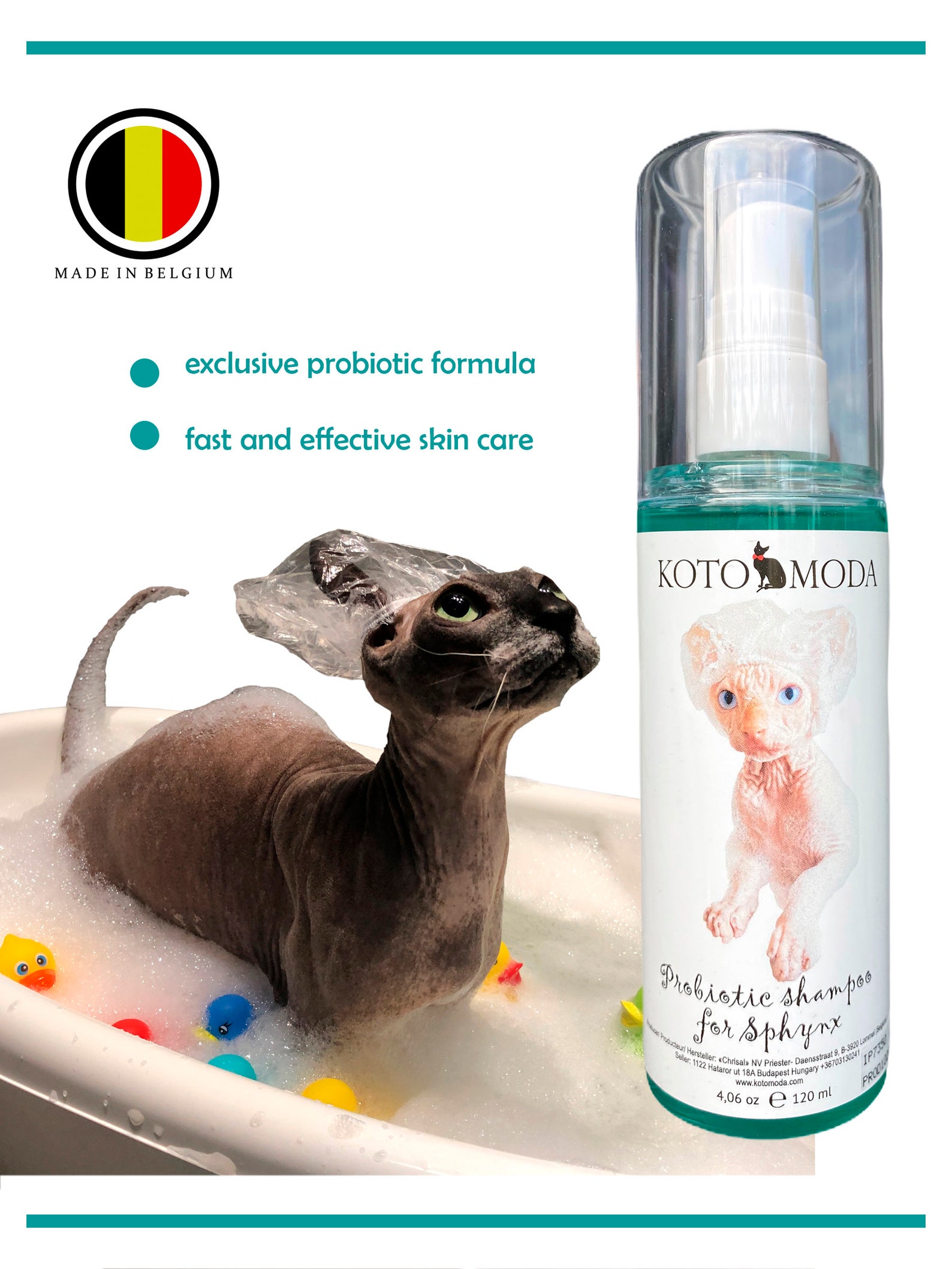 Kotomoda Probiotic Shampoo for Sphynx Cats - Etsy