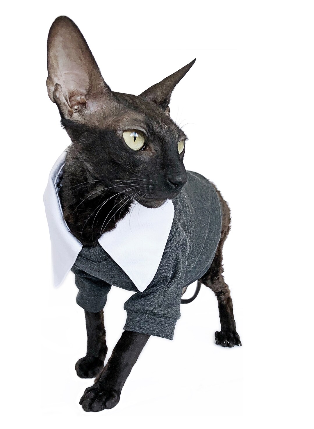 Kotomoda CAT WEAR Pullover White Collar - Etsy