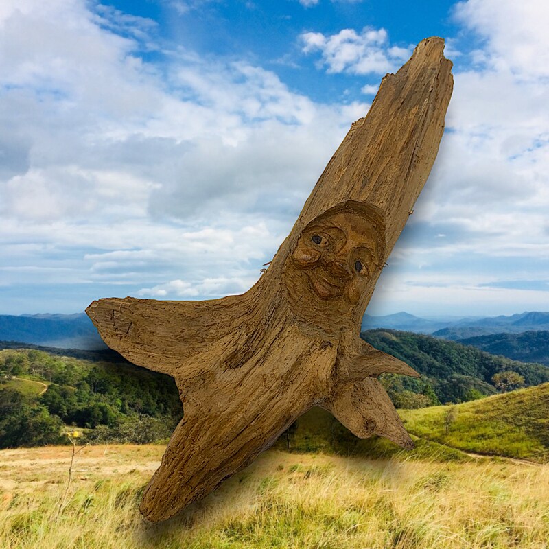Wood Spirit Carving - Etsy