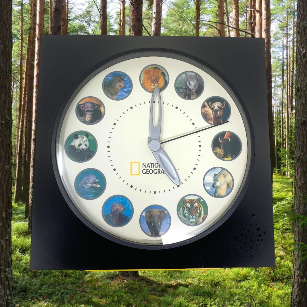 Vintage National Geographic Animal Magic Sounds Wall Clock Sounds ...