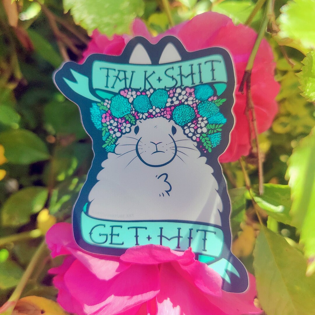 Talk Shit Get Hit Vinyl Sticker - Etsy