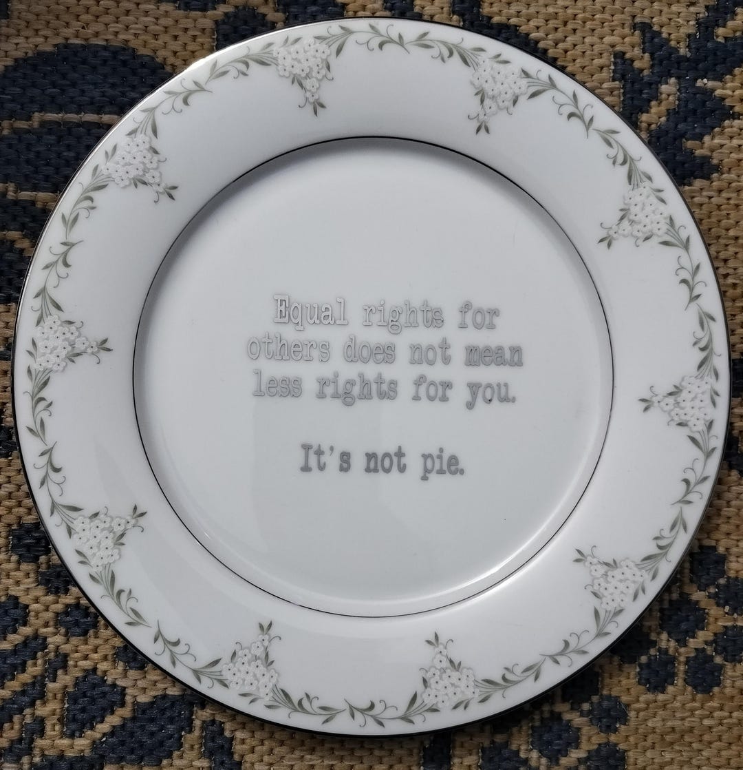 10.5" Cuss Word Swear Plate Equal Right for Others Does Not Mean Less ...