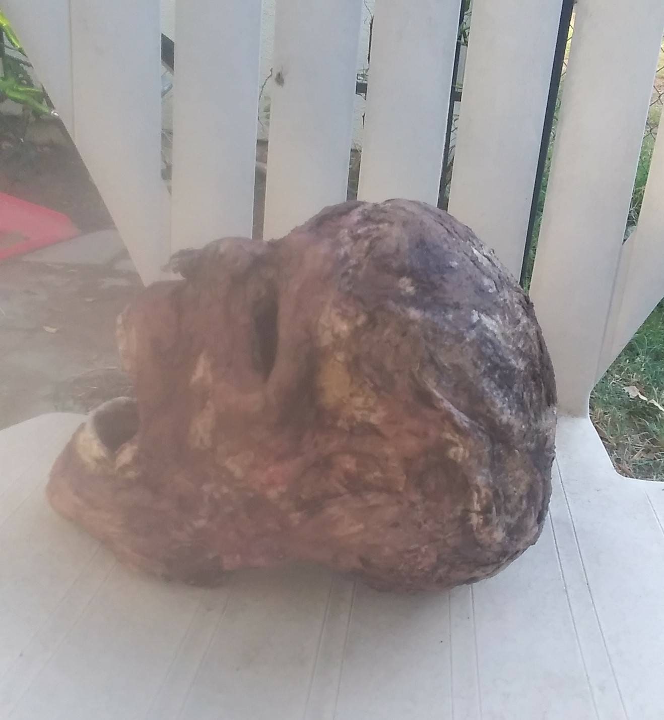 Halloween / Movie Prop Corpse Head - Etsy