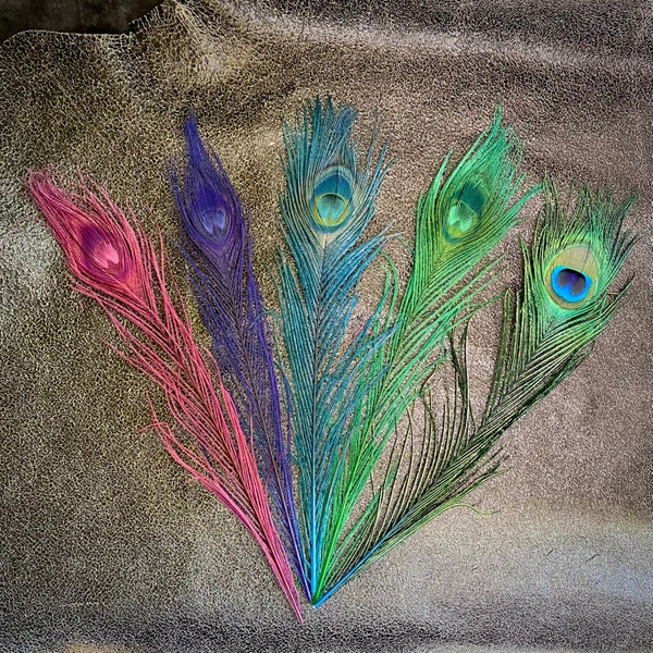 Color Assortment - Etsy