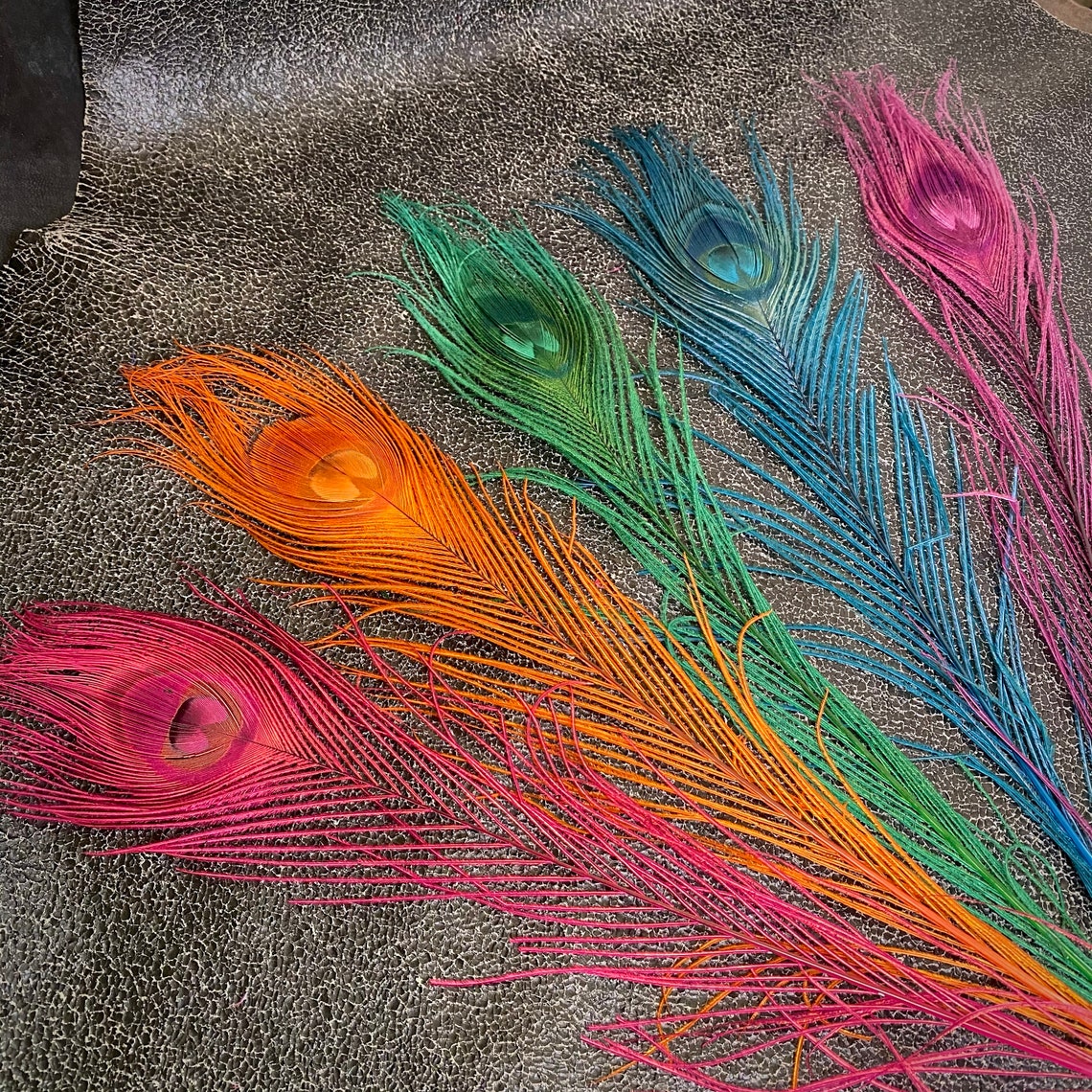 Dyed Peacock Feathers For Costumes 5 Rainbow Color Etsy