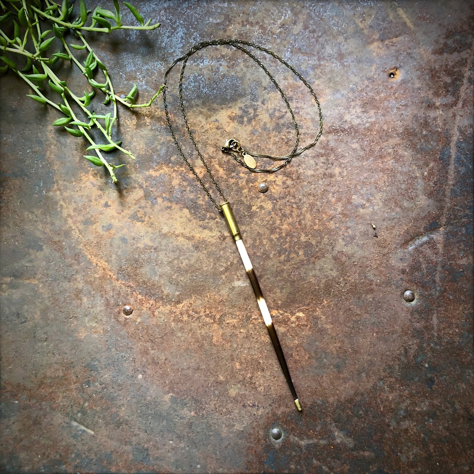 Quill Necklace Porcupine Quill Porcupine African Porcupine - Etsy