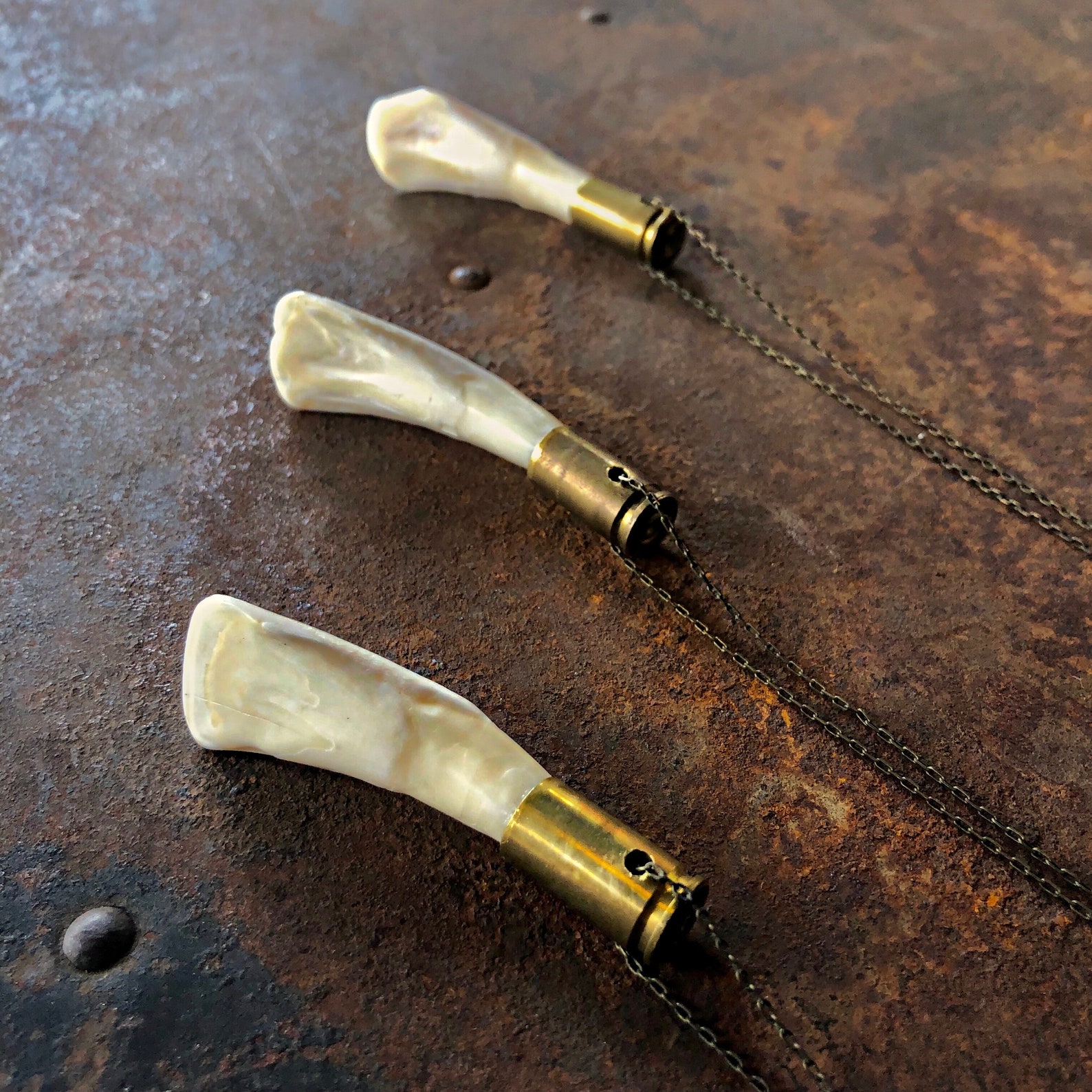 Tooth Necklace Buffalo Necklace Animal Tooth Buffalo Tooth - Etsy