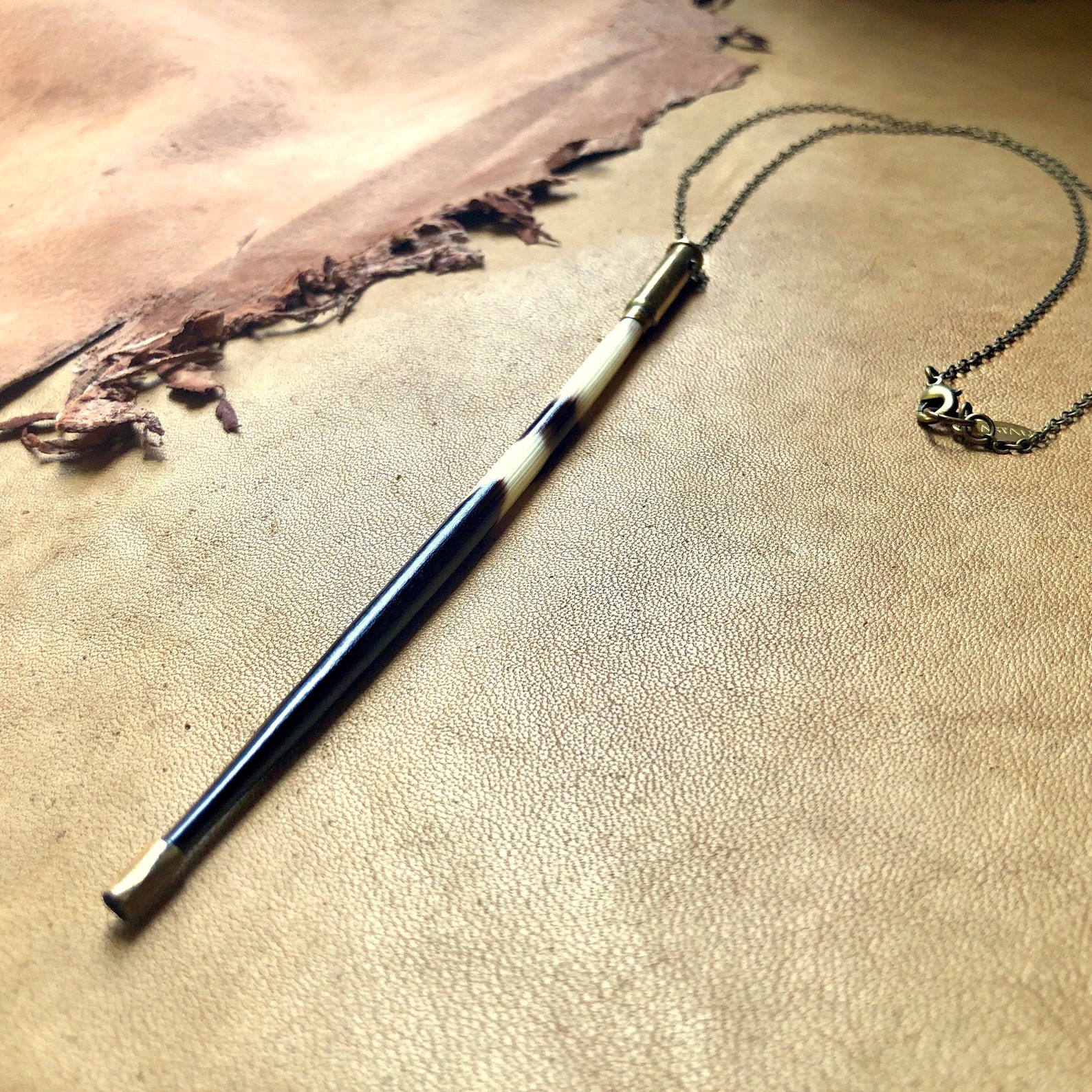 Quill Necklace Porcupine Quill Porcupine African Porcupine - Etsy