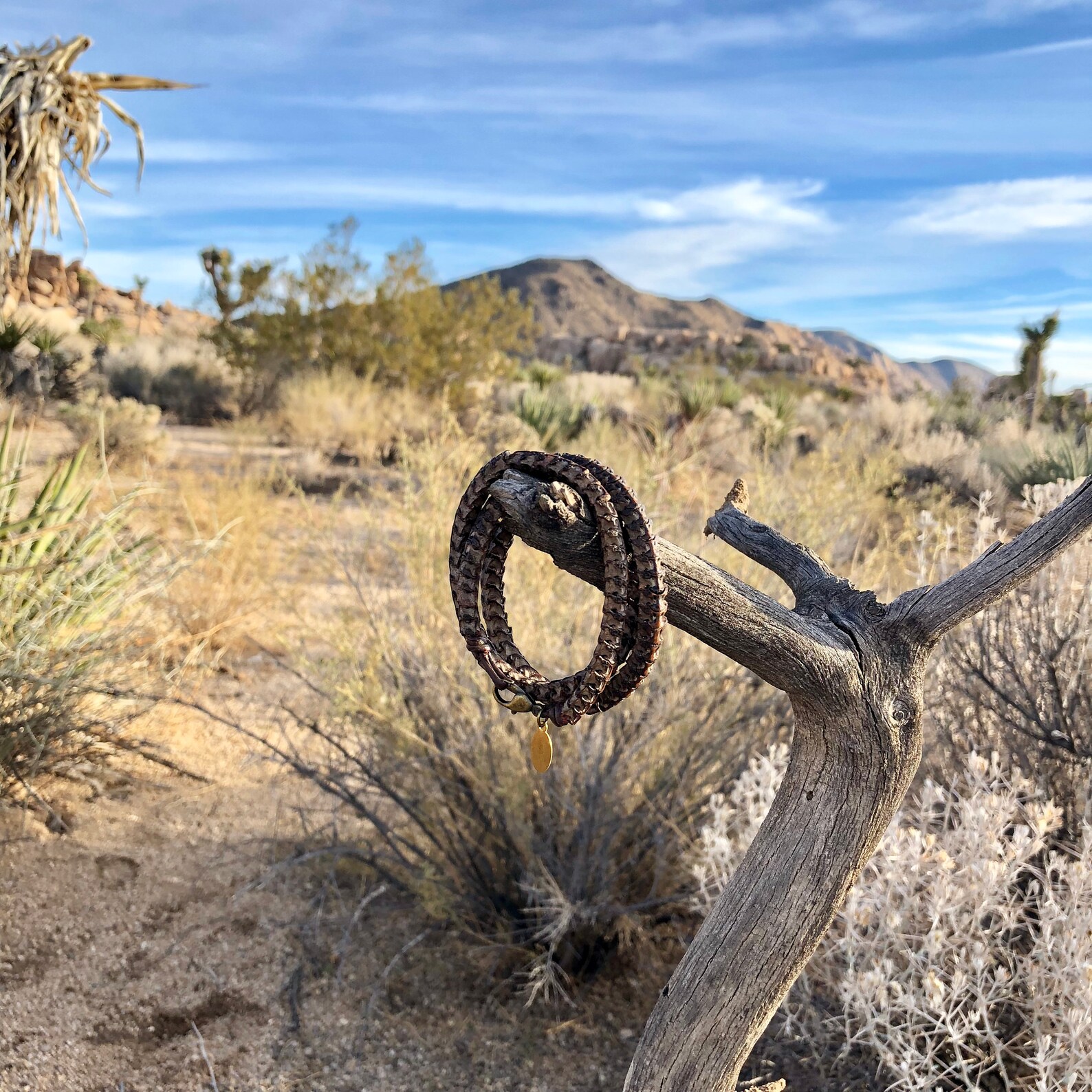 Bracelet Triple Wrap Snake Bracelet Bone Bracelet Snake - Etsy