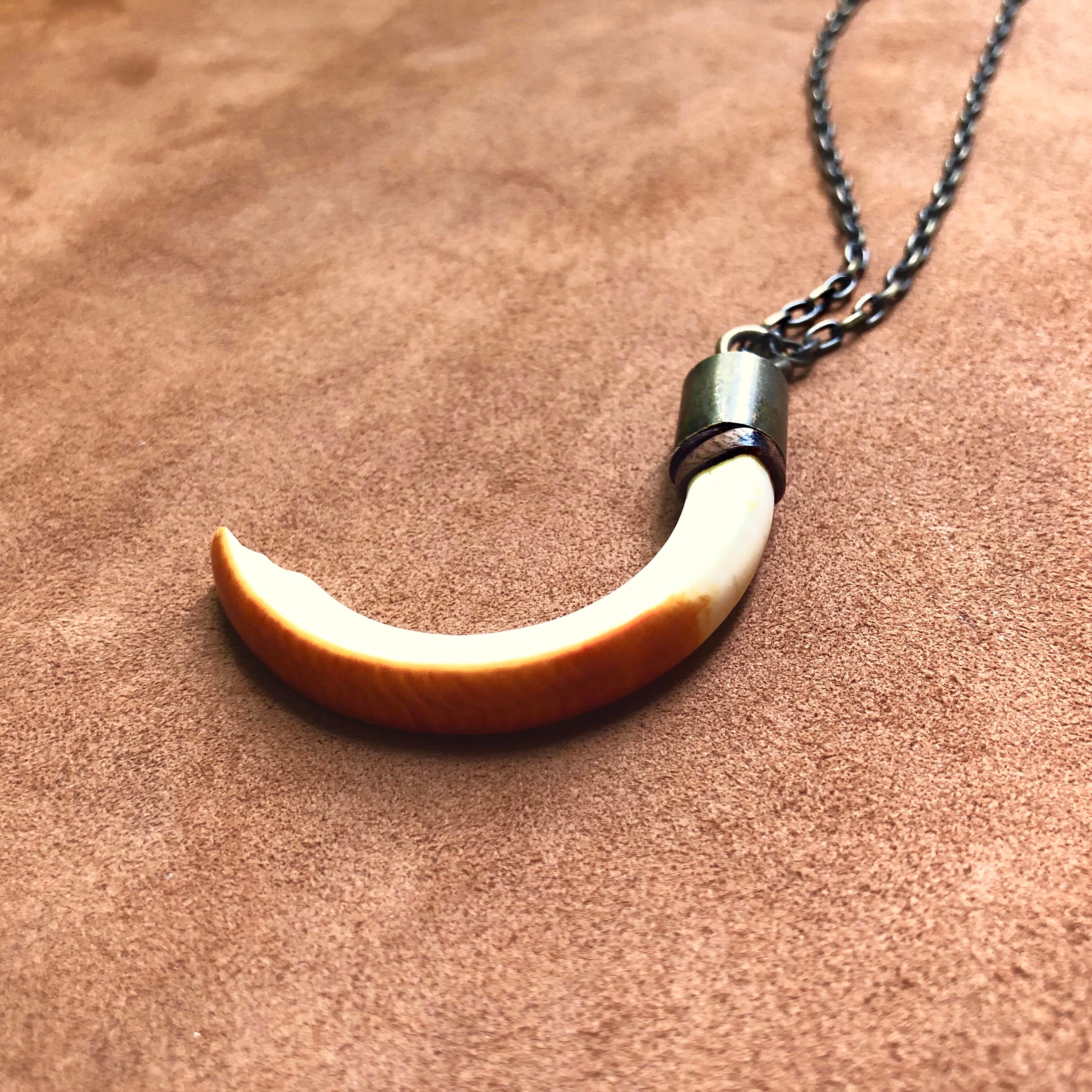 Authentic Beaver Tooth Necklace Real Tooth Pendant Natural | Etsy