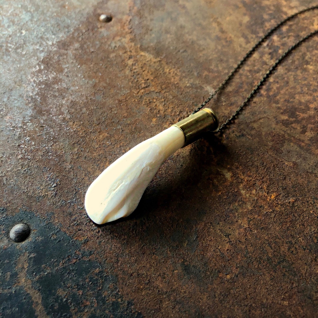 Tooth Necklace, Buffalo Necklace, Animal Tooth, Buffalo Tooth, Exotic ...