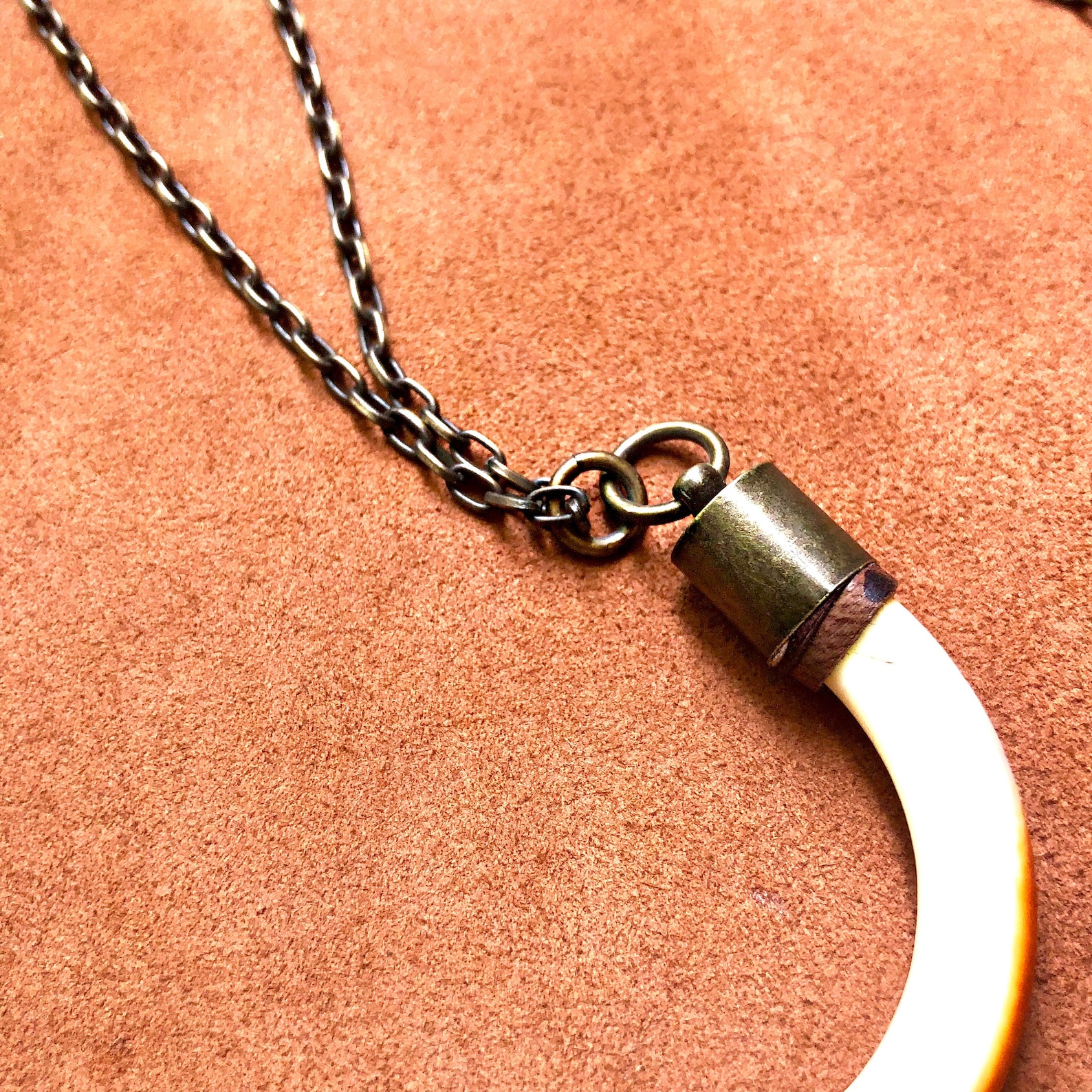 Authentic Beaver Tooth Necklace Real Tooth Pendant Natural | Etsy