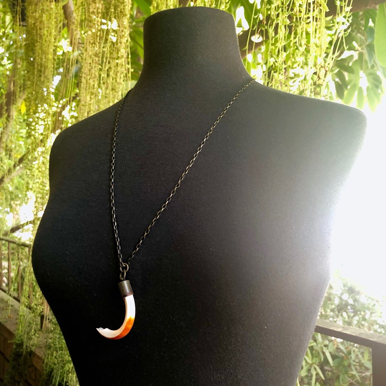 Authentic Beaver Tooth Necklace Real Tooth Pendant Natural | Etsy