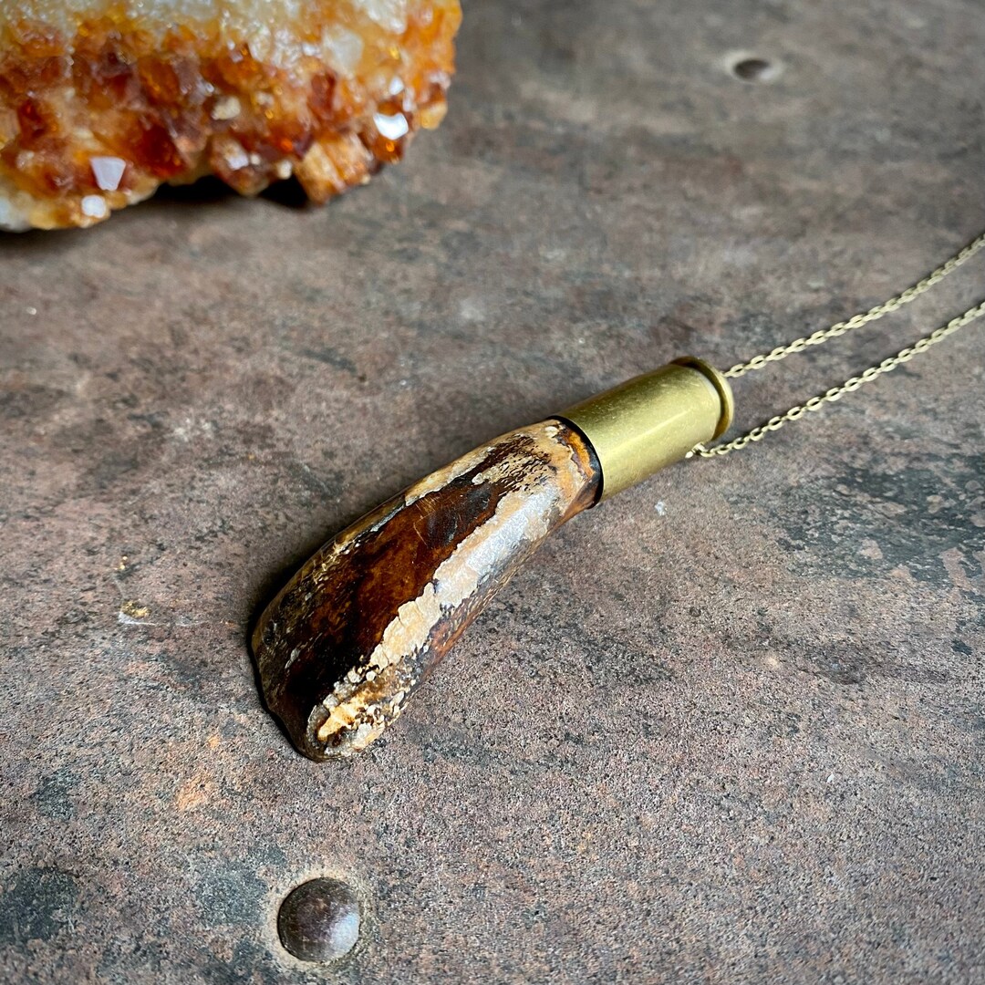 Buffalo Tooth Necklace, Animal Tooth Necklace, Bison Tooth, Exotic ...