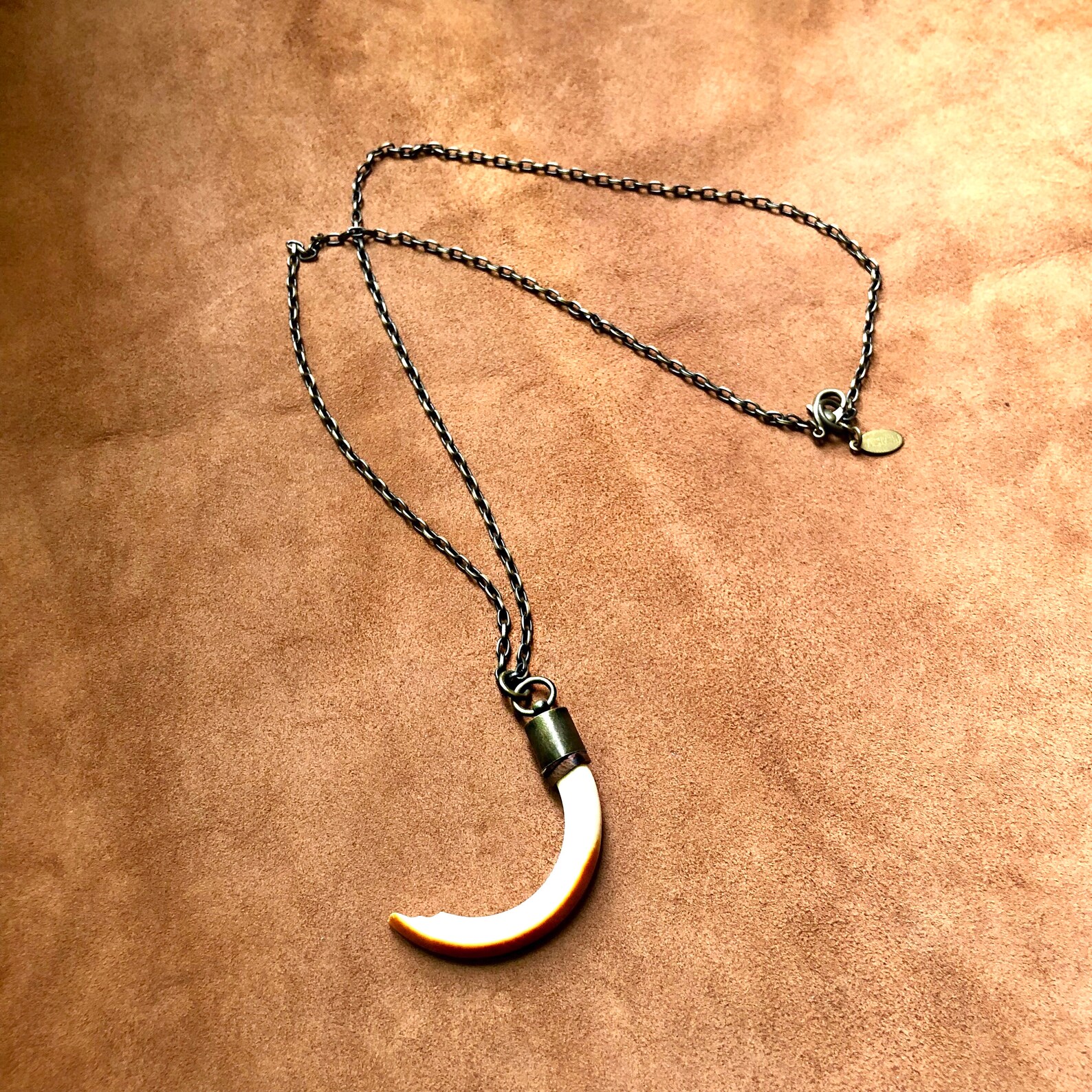 Authentic Beaver Tooth Necklace Real Tooth Pendant Natural | Etsy