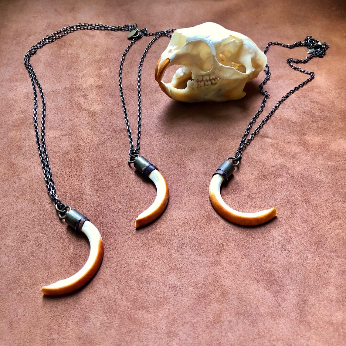 Authentic Beaver Tooth Necklace Real Tooth Pendant Natural - Etsy