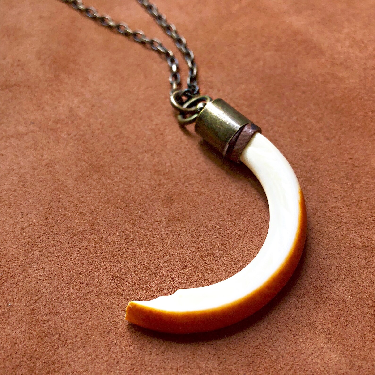 Authentic Beaver Tooth Necklace Real Tooth Pendant Natural - Etsy