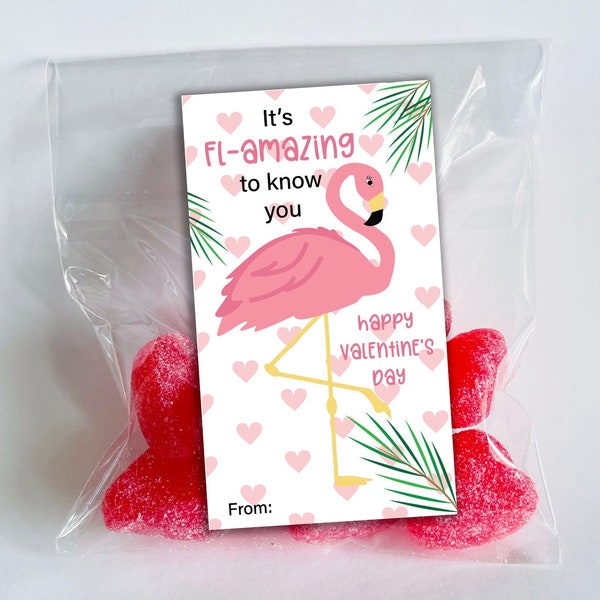 Flamingo Classroom - Etsy