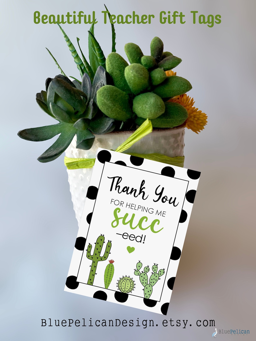 Teacher Appreciation Gift Idea for Succulents– Thank You Teacher Gift ...