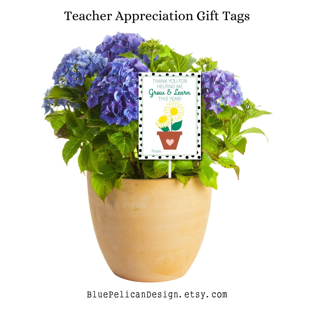 Printable Teacher Thank You Gift Ideas – Flower Gift Tags for Teacher ...