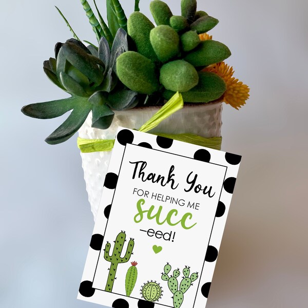 Succulent Gifts - Etsy