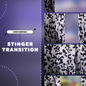Curtain STINGER TRANSITION Black and White Cow Pattern | Stream ...
