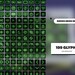 ANIMATED GREEN NEON Stream Deck Icons | Streamer | Twitch | Discord ...