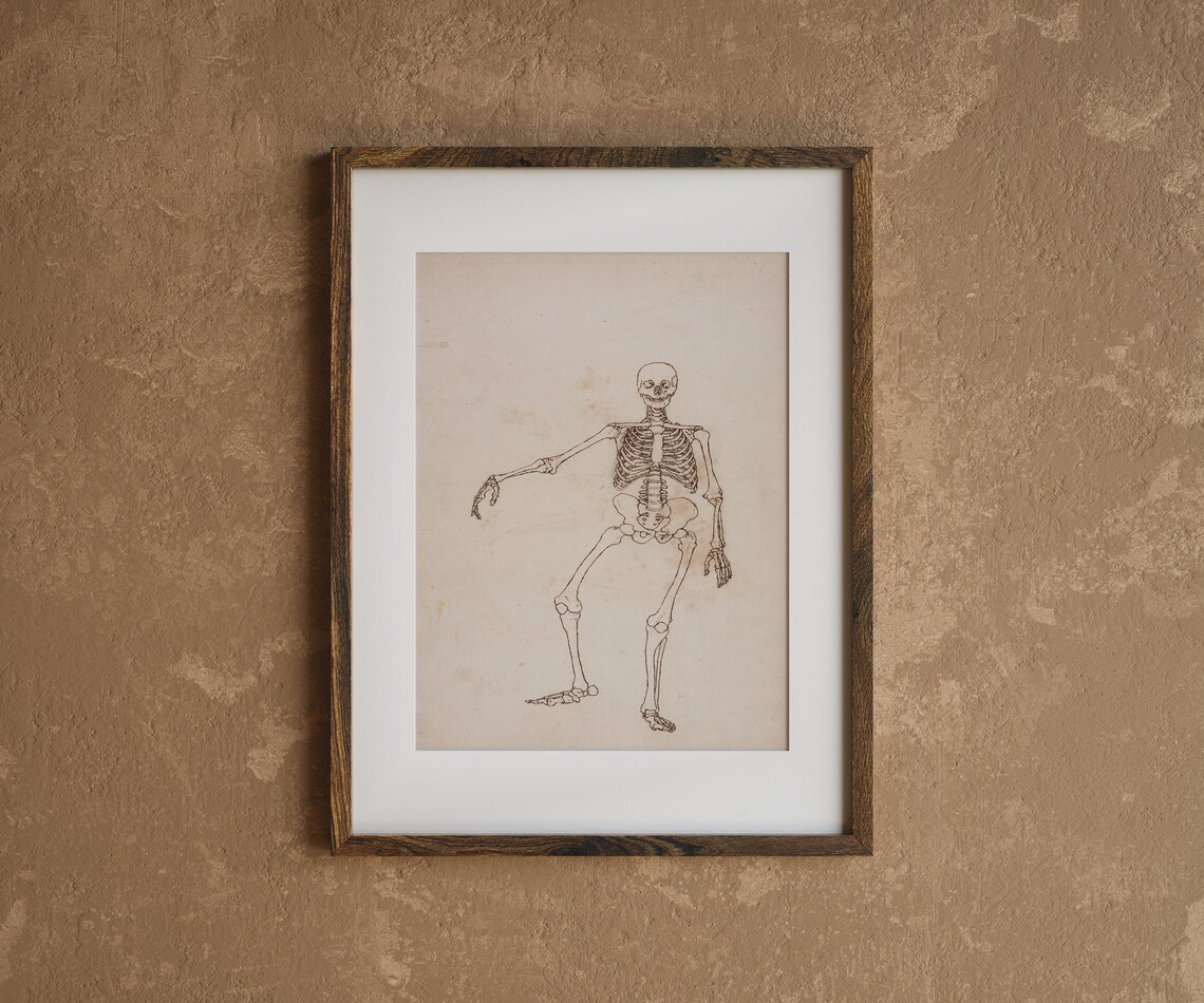 Vintage Anatomy Drawing / Skeleton / PRINTABLE / DIGITAL - Etsy