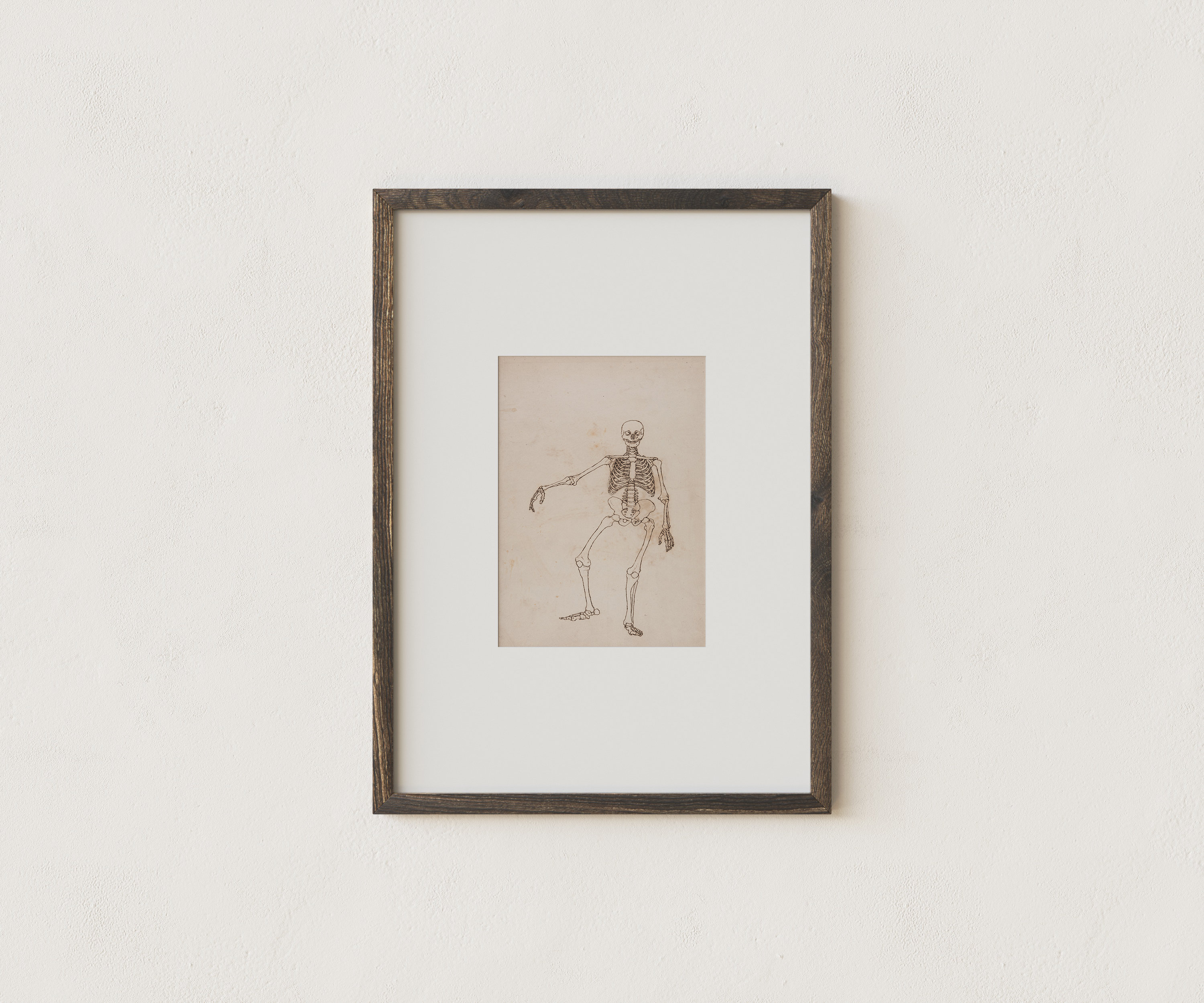 Vintage Anatomy Drawings / Skeleton Wall Art / PRINTABLE / DIGITAL ...