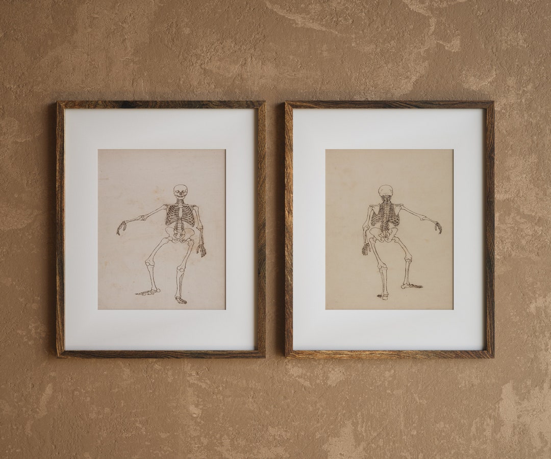 Vintage Anatomy Drawings / Skeleton Wall Art / PRINTABLE / DIGITAL ...