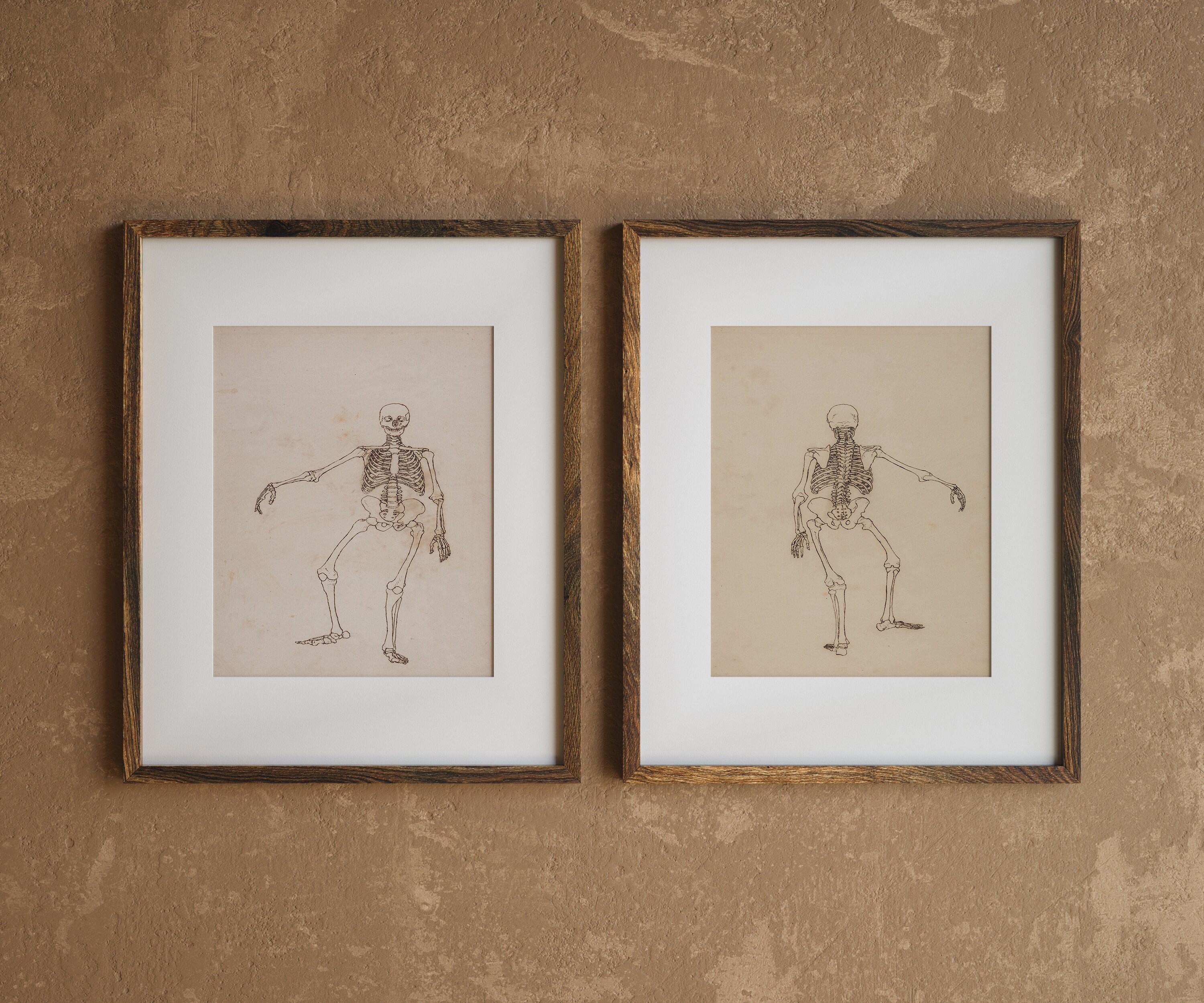 Vintage Anatomy Drawings / Skeleton Wall Art / PRINTABLE / DIGITAL ...