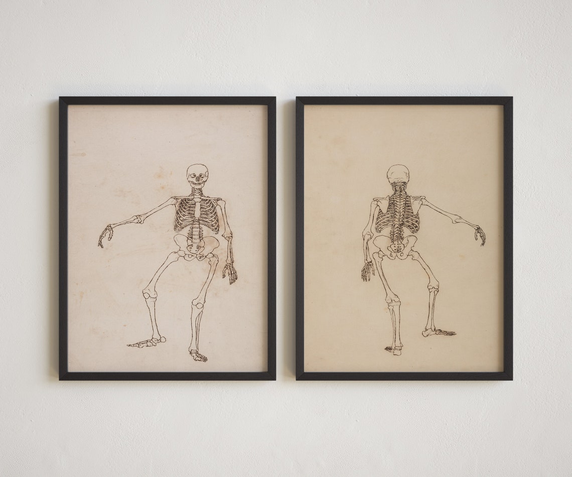 Vintage Anatomy Drawings / Skeleton Wall Art / PRINTABLE / DIGITAL ...