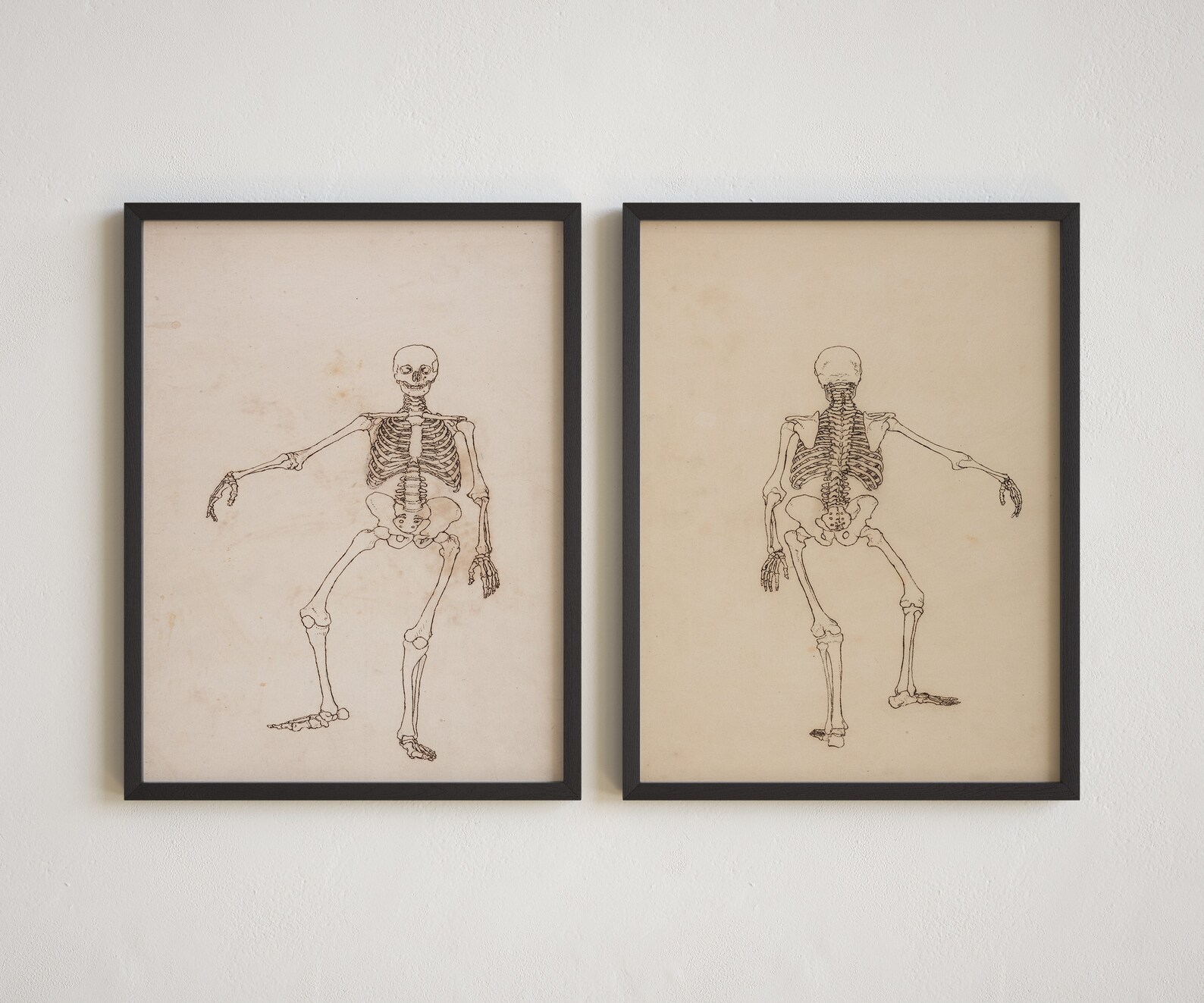 Vintage Anatomy Drawings / Skeleton Wall Art / PRINTABLE / DIGITAL ...