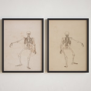 Vintage Anatomy Drawings / Skeleton Wall Art / PRINTABLE / DIGITAL ...