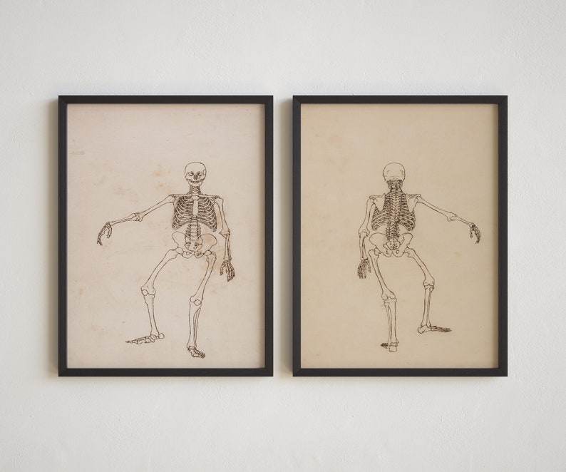 Vintage Anatomy Drawings / Skeleton Wall Art / PRINTABLE / DIGITAL ...