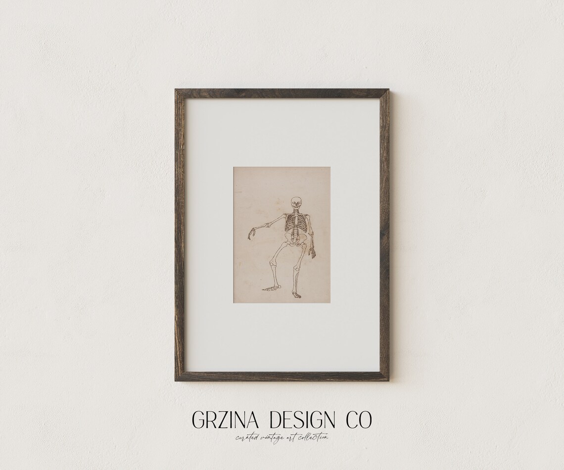 Vintage Anatomy Drawing / Skeleton / PRINTABLE / DIGITAL - Etsy