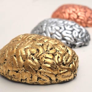 Brain Sculpture / Wall Artwork | Etsy