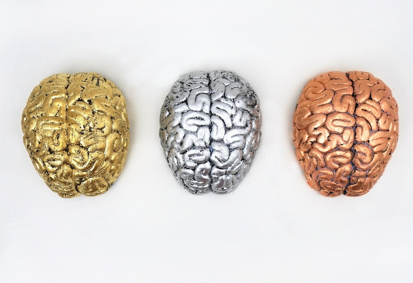 Brain Sculpture / Wall Artwork | Etsy